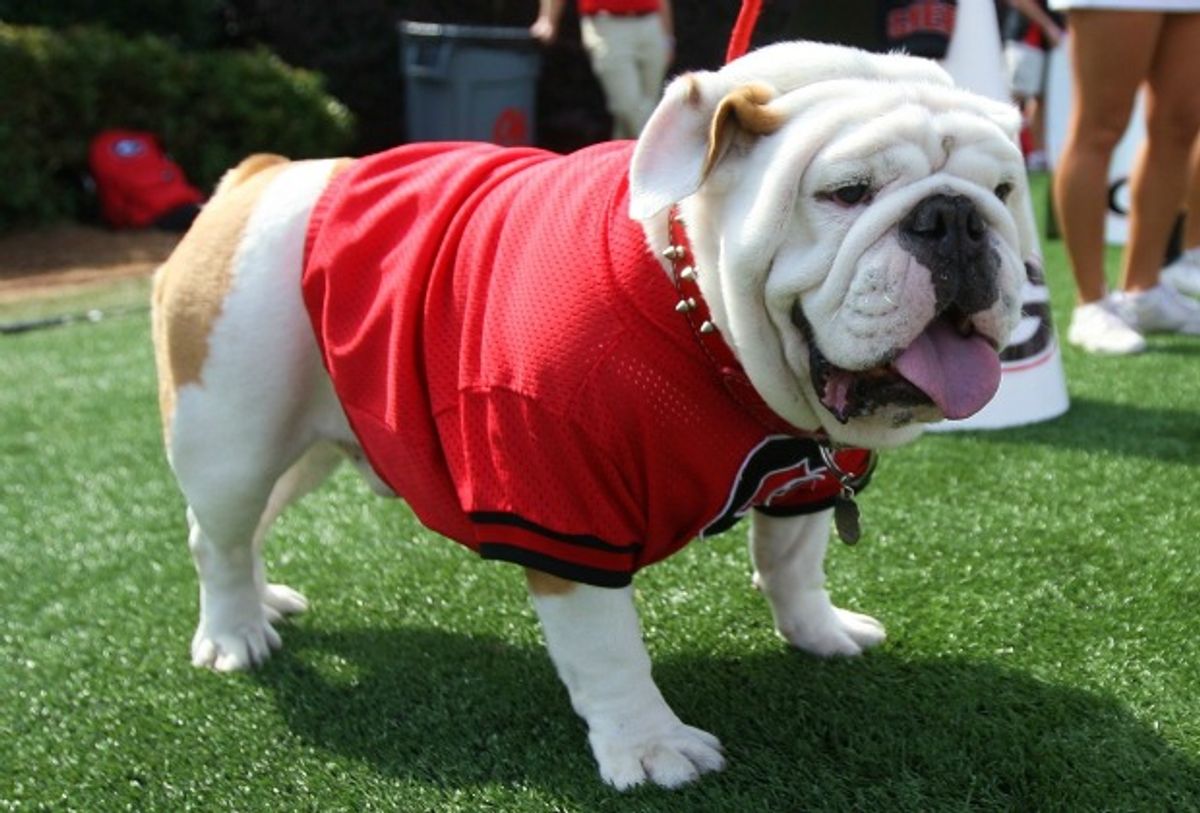 5 Facts About UGA Every Dawg Fan Should Know