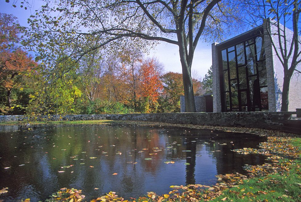 11 Things To Love About Brandeis