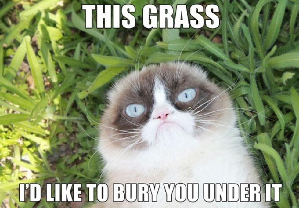 Pennsylvania Weather As Told By Your Favorite Memes