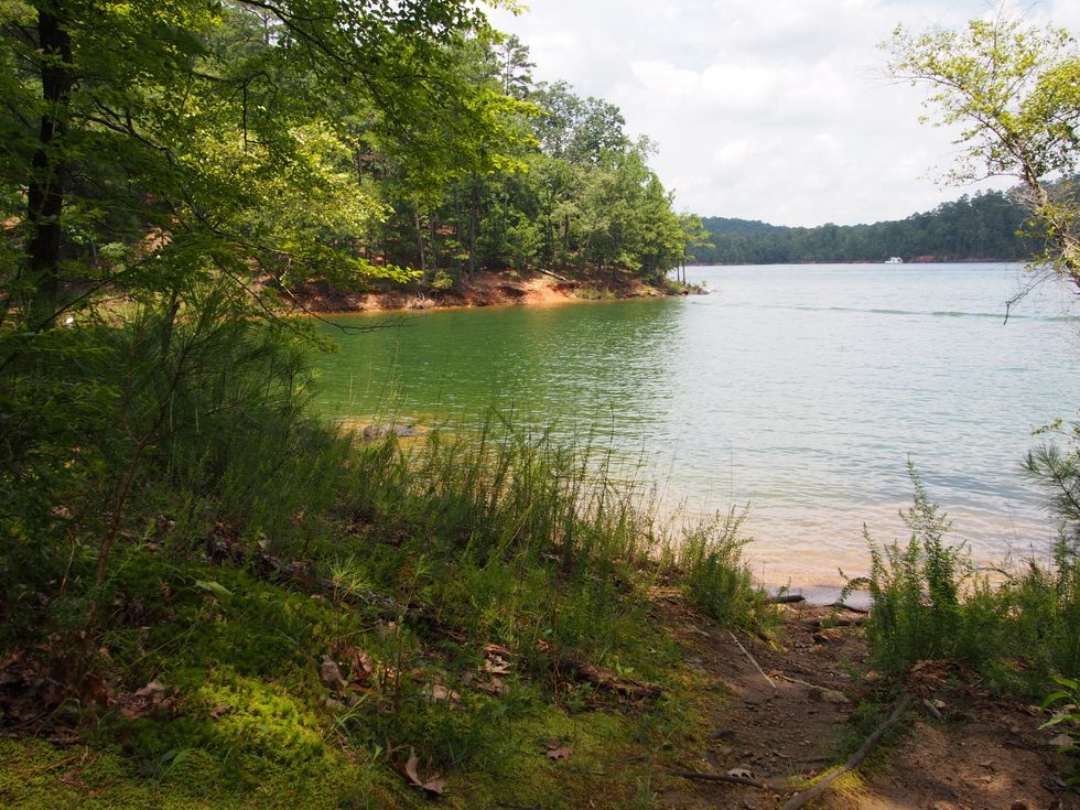 Hike Of The Month: Red Top Mountain State Park