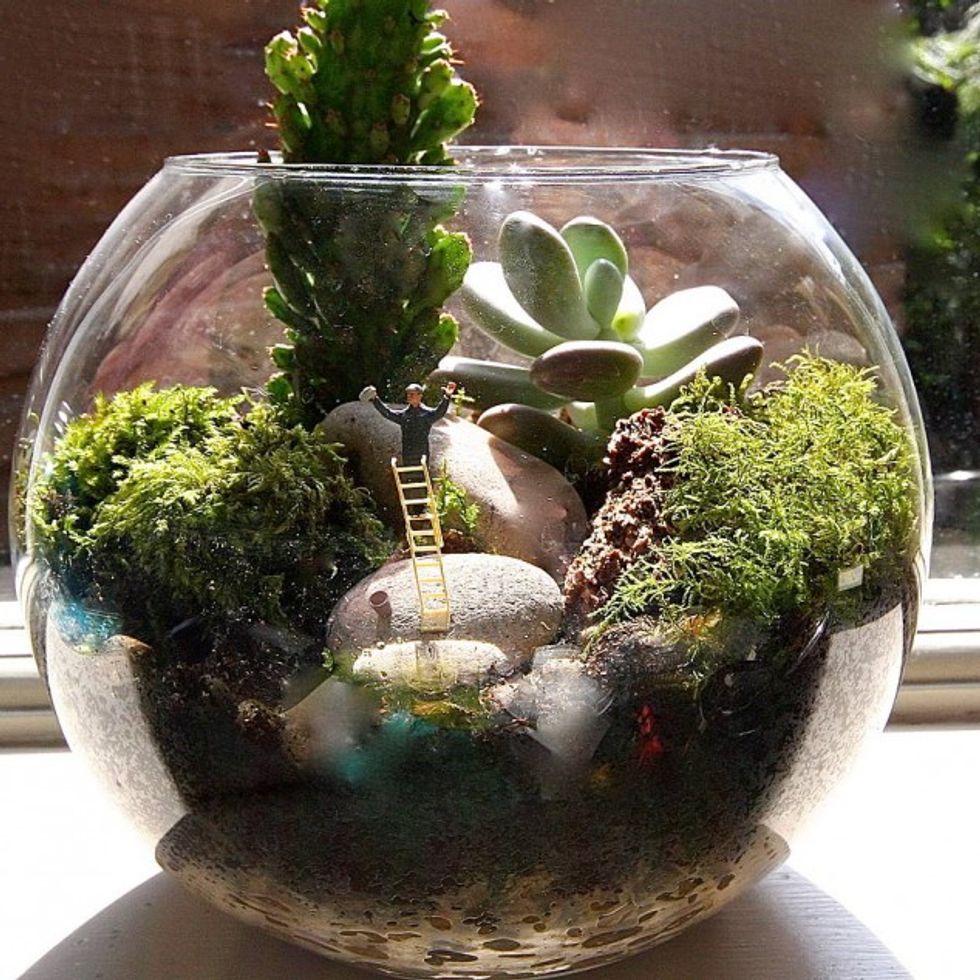 9 Unique Terrariums Even You Can DIY