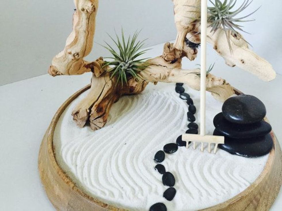 9 Unique Terrariums Even You Can DIY