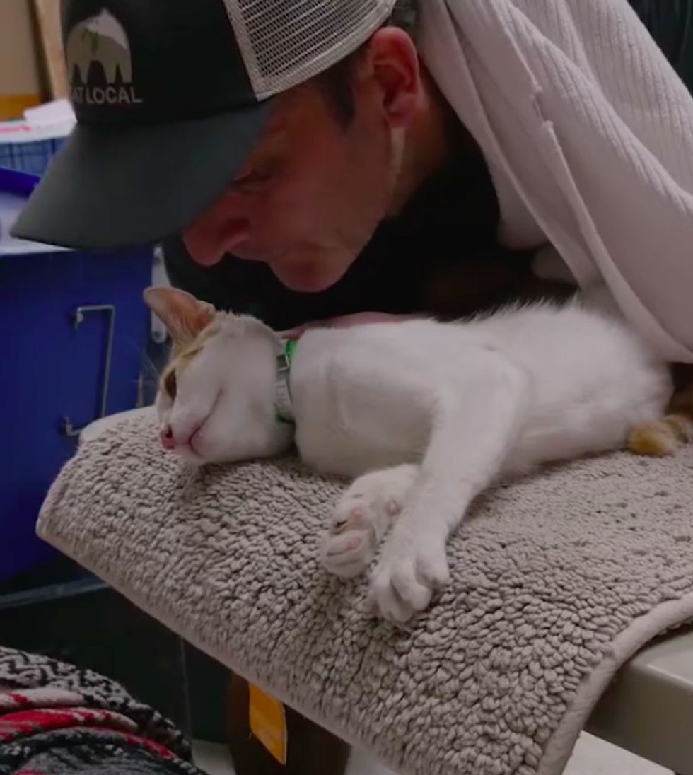 Cats Rescued! Houston Residents Stay Behind to Help Save Stranded ...