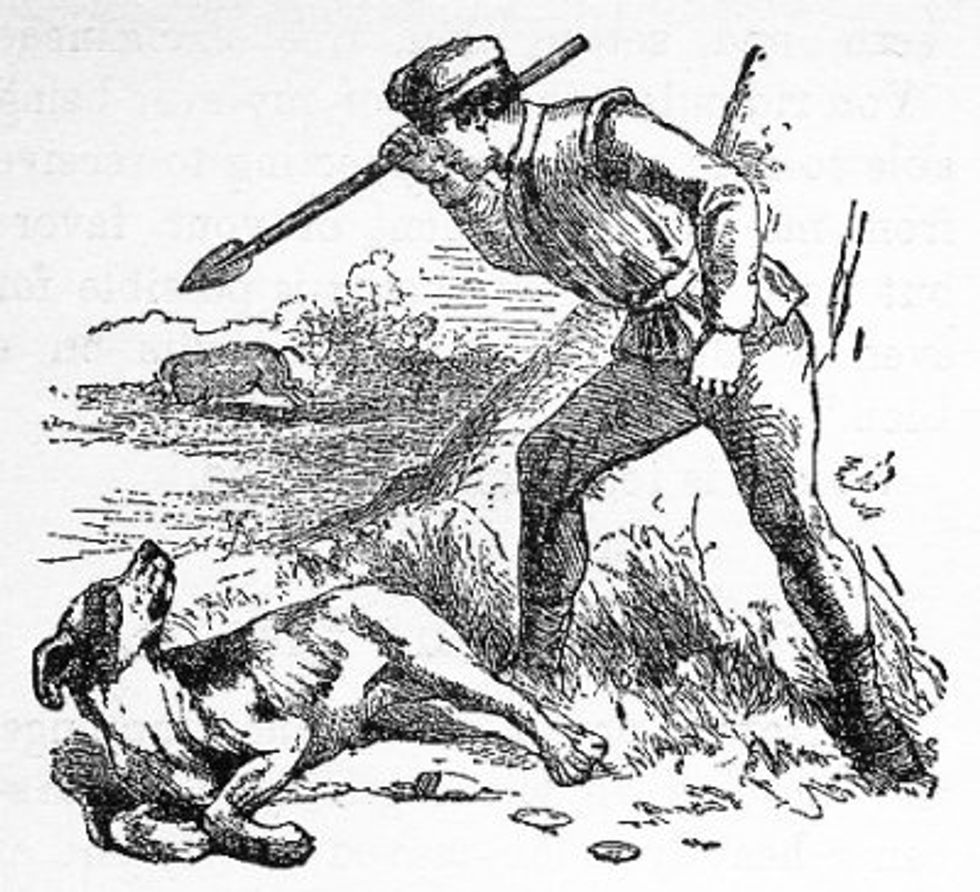 5 Of Aesop's Best Fables