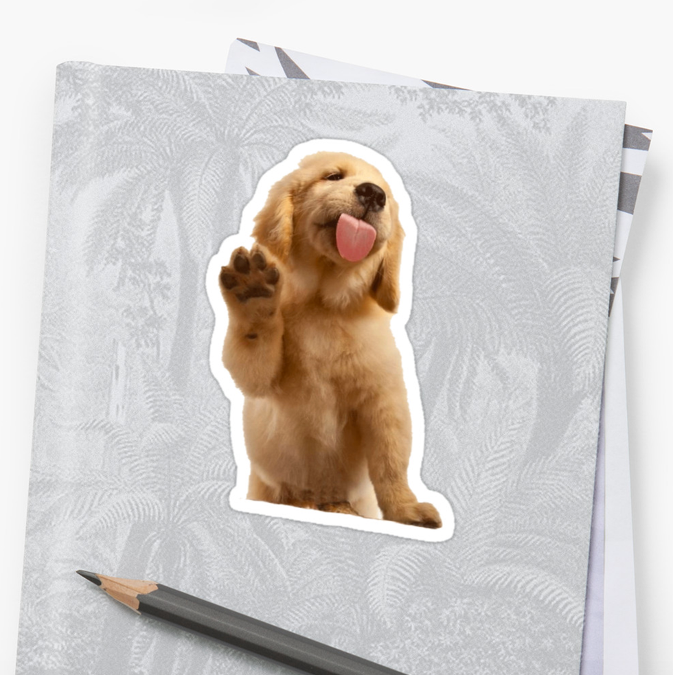 22 Types Of Redbubble Stickers You've Seen On Every College Girl's Laptop