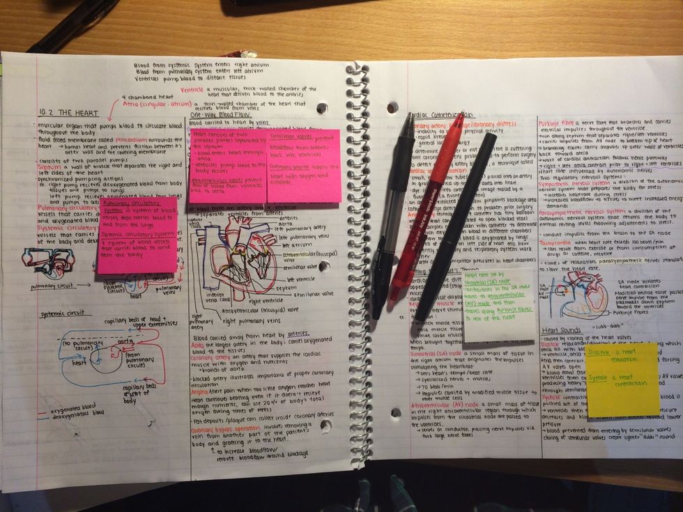 8 Study Tips For Science Majors