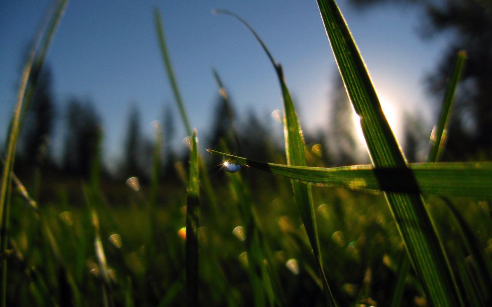 3 Short Poems For An Optimistic