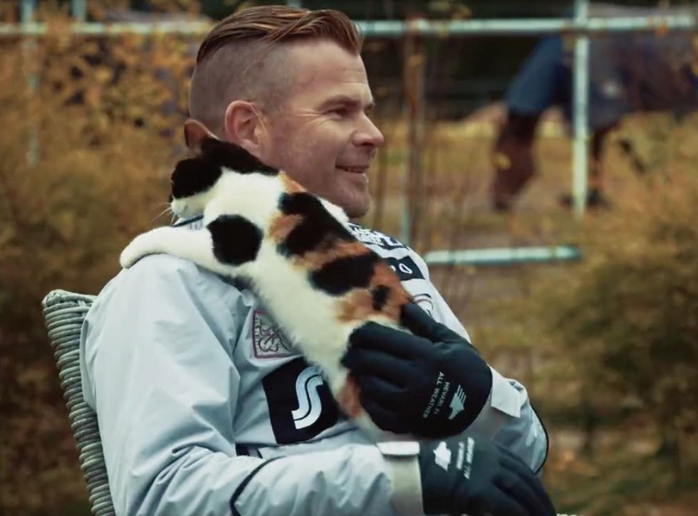 Friendly Stable Cat Interrupts Her Human's TV Interview and Steals the ...