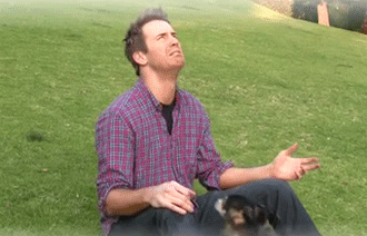 10 Reasons Why Dogs Are WAY Better Than People