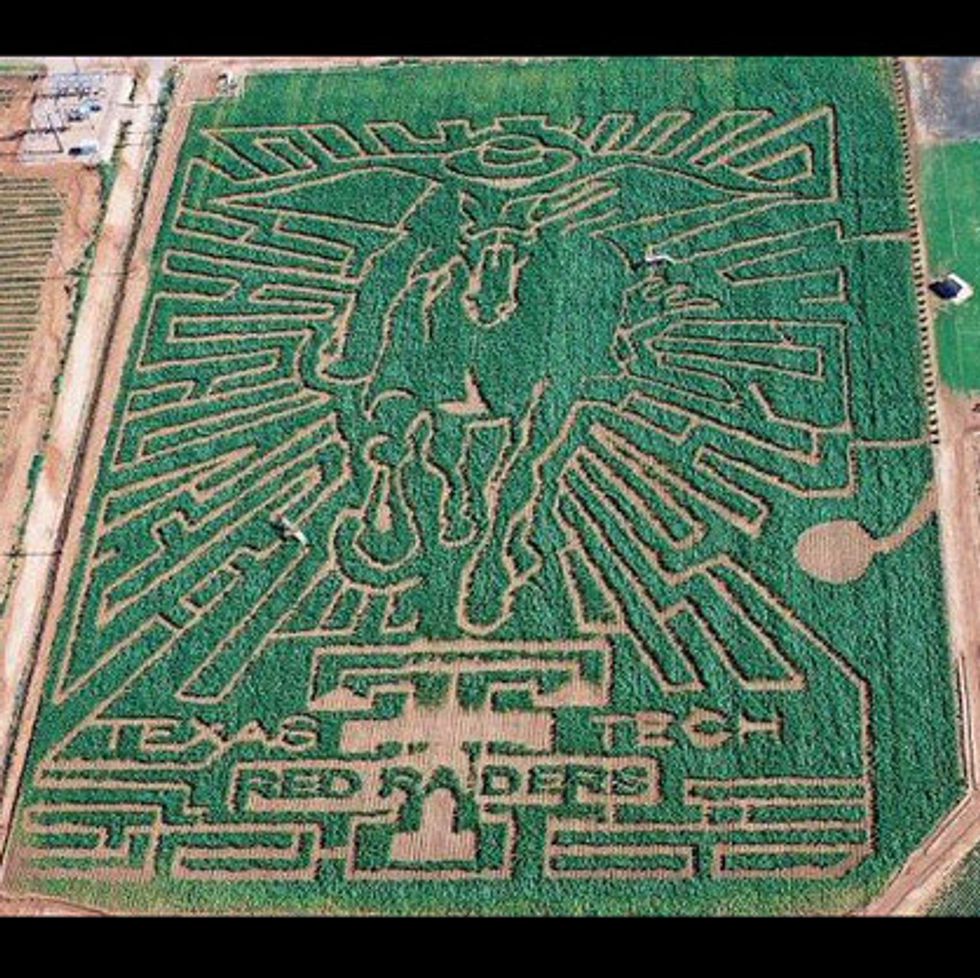 17 'Hipster' Things To Do In Lubbock, TX