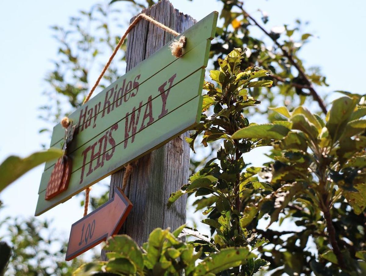 5 Must-Do Fall Dates In Lubbock, Texas For You And Bae