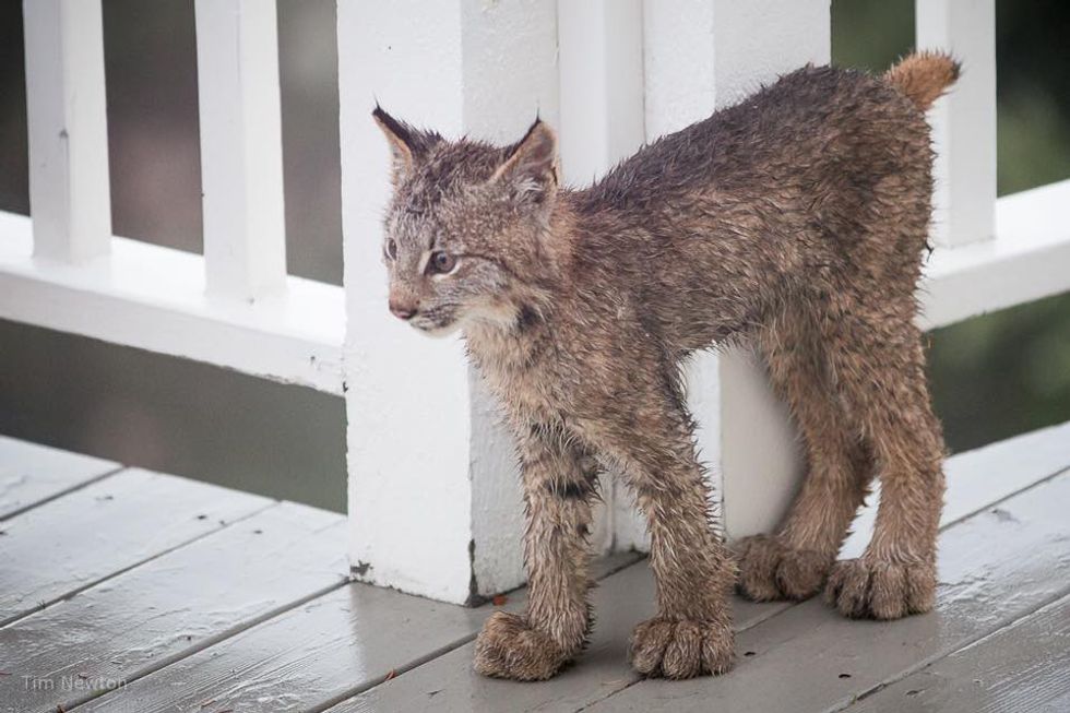 Man Surprised to Wake Up to See Family of 8 Playing On His Doorstep ...