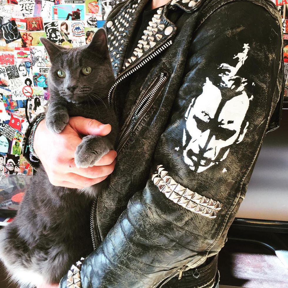 Man Becomes Dad To Runty Kitten and Raises Her Into Shoulder Cuddler ...