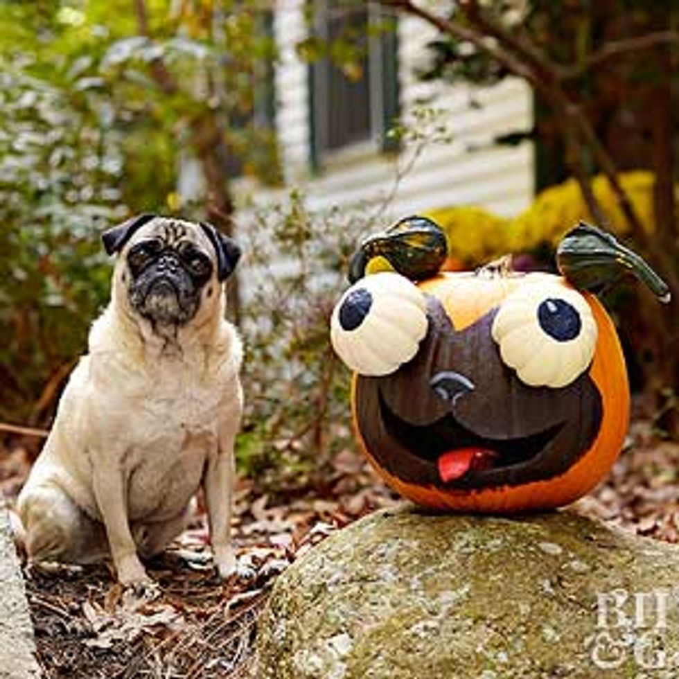 The top five most creative pumpkin painting ideas