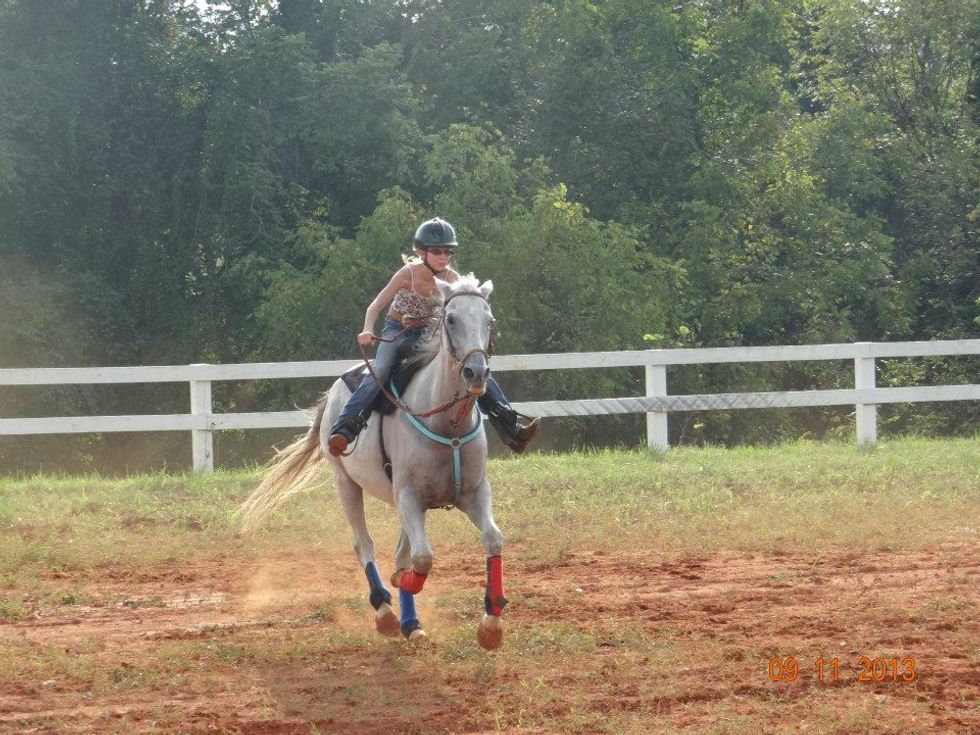 8 Disciplines Of Horse Riding You Need To Know If You Want To Ride