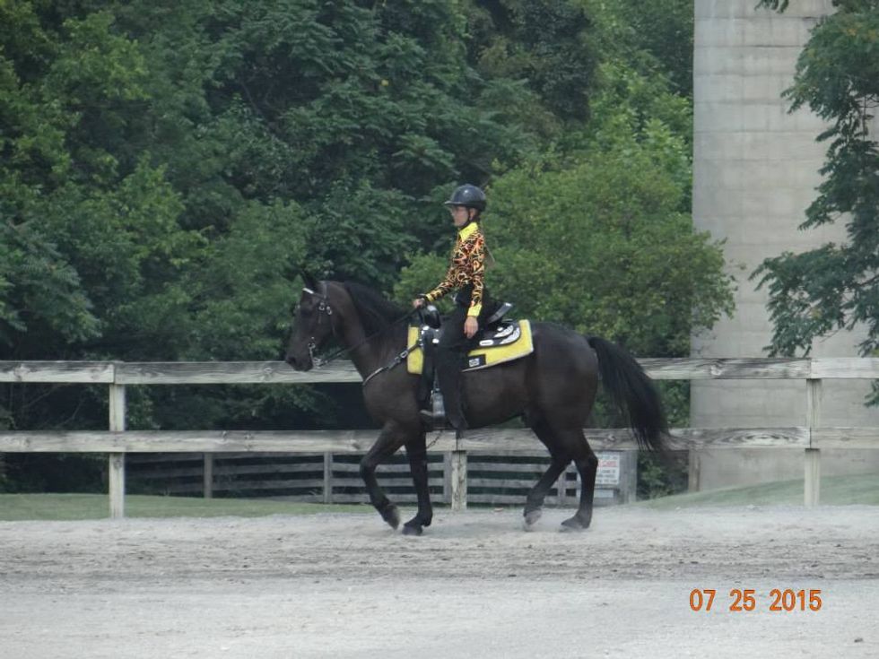 8 Disciplines Of Horse Riding You Need To Know If You Want To Ride