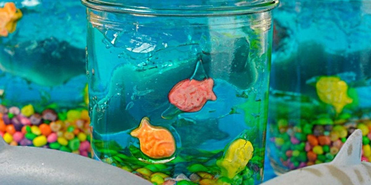 Shark Tank Jello - My Recipe Magic