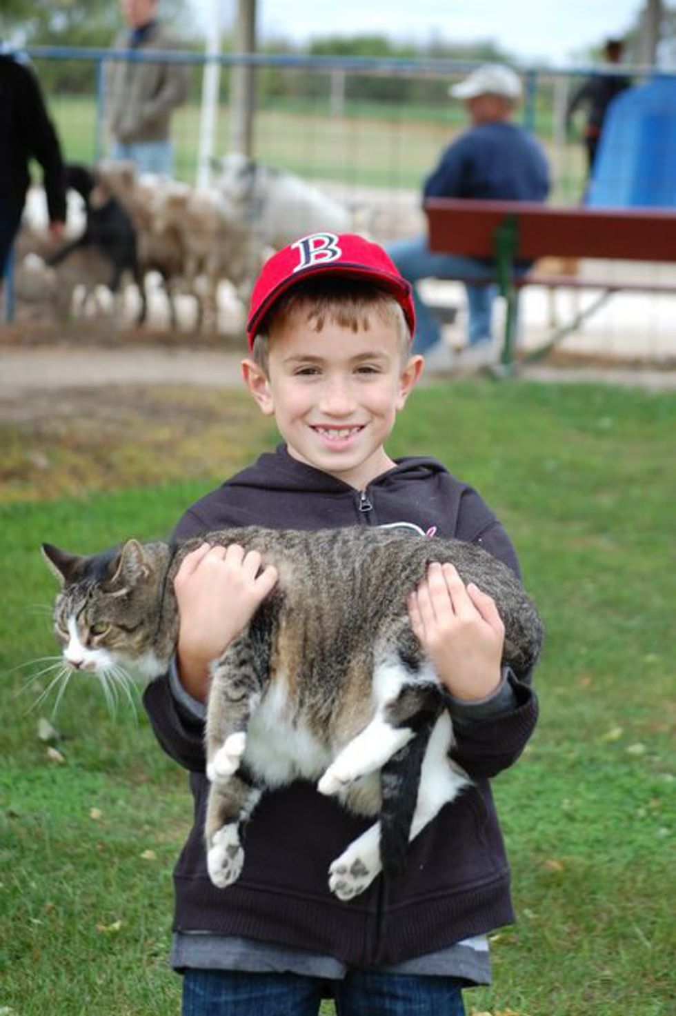 How To Survive Your Summer As A Petting Farm Tour Guide