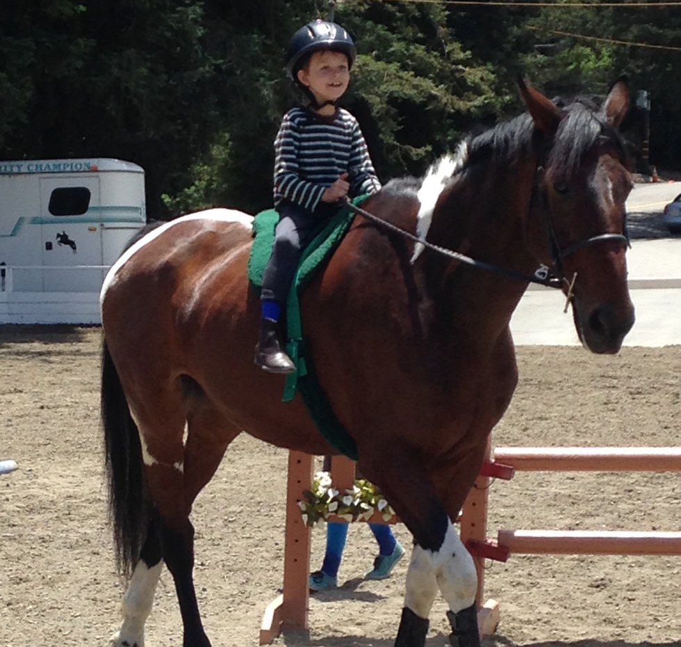 The Joys of Teaching Children Through Horses