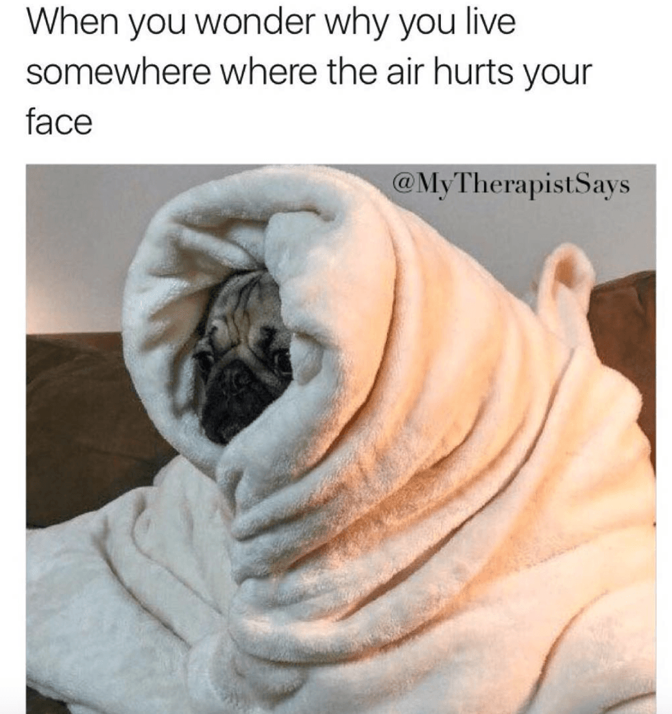 Best Instagram Accounts for Memes