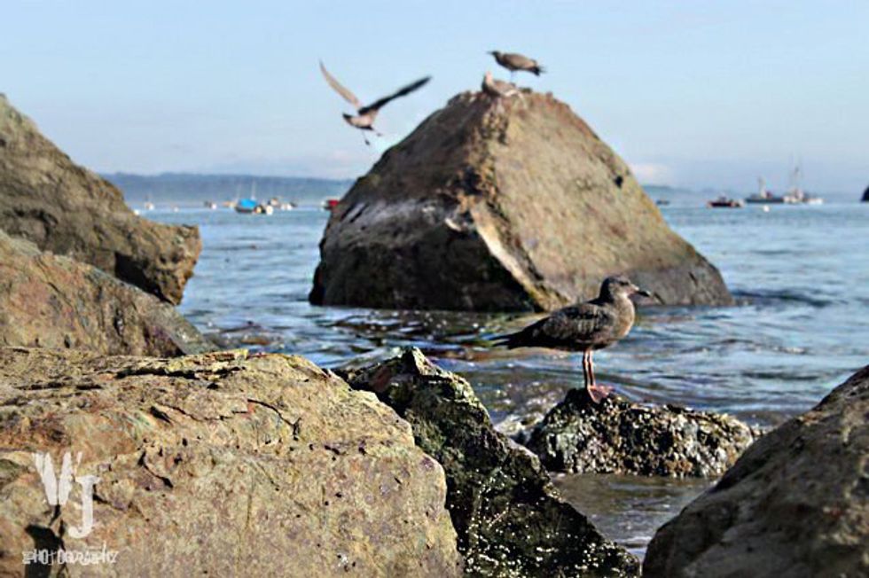 5 Photos Capturing A Day In Humboldt