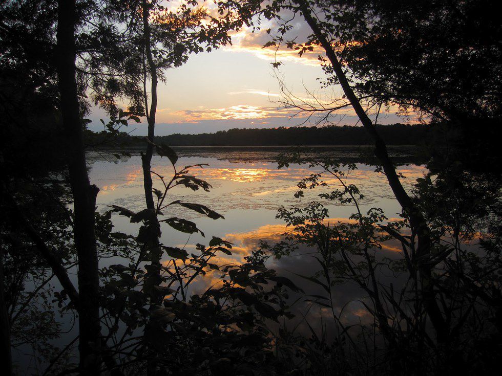 Lake Fred: The Identity of Stockton University