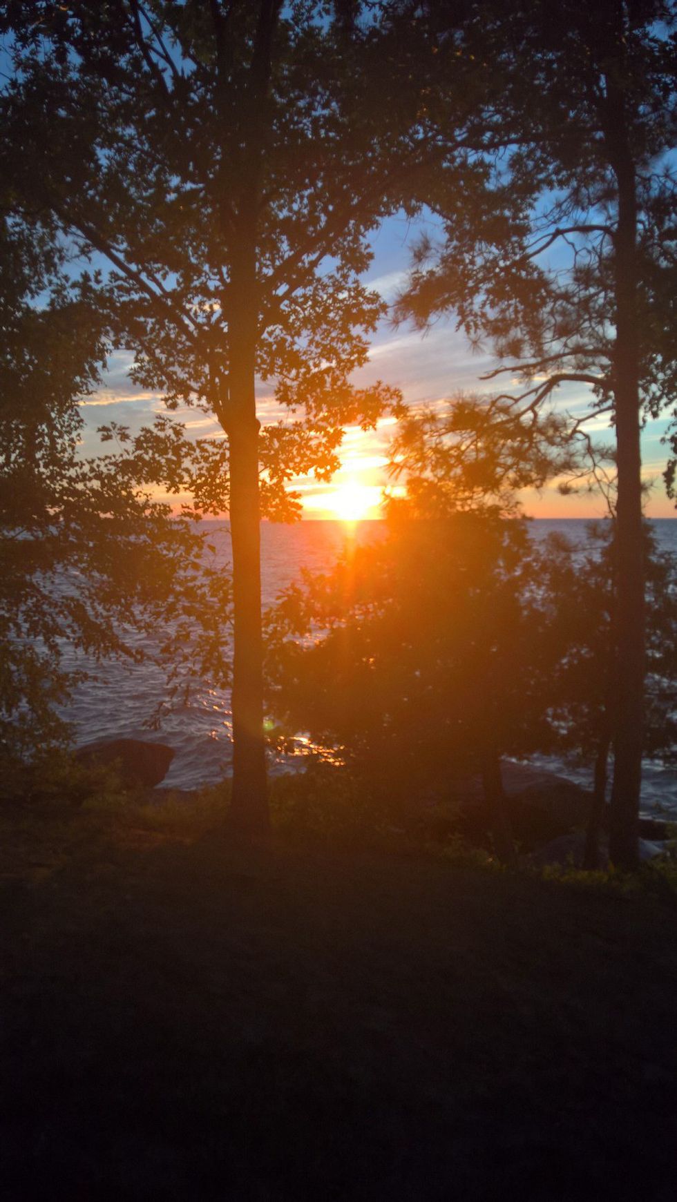 40 Things That Will Make You Smile