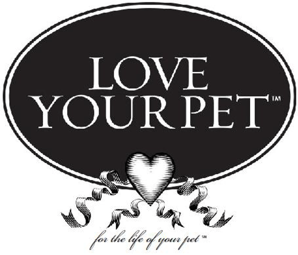 Finding Your Ideal First Pet