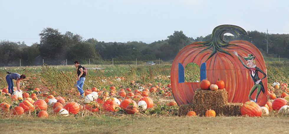 10 Activities To Add To Your Long Island Fall Bucket List