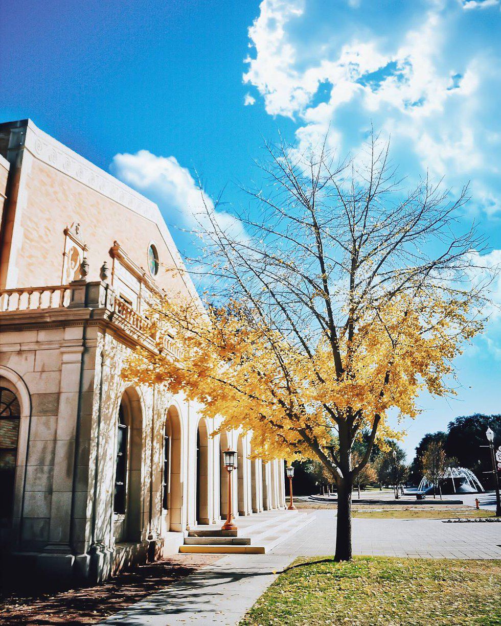 20 Beautiful Photos of the Baylor Campus