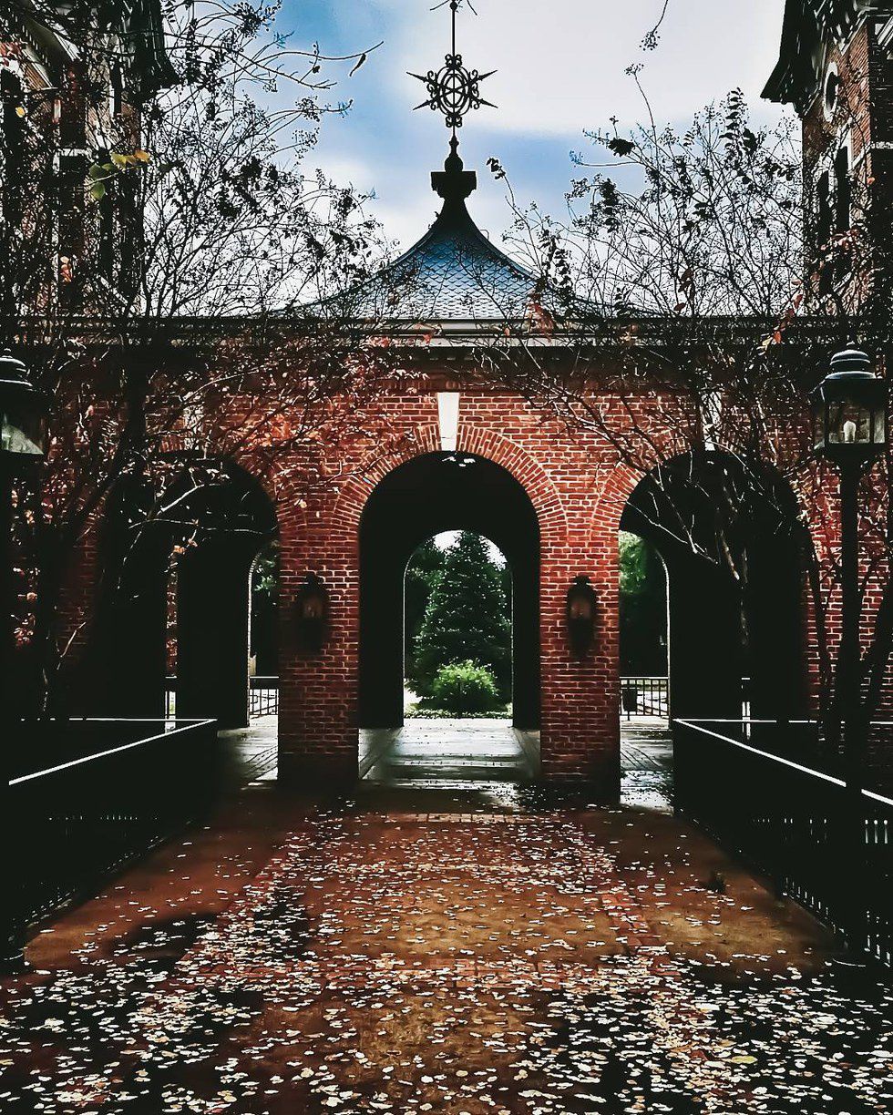 20 Beautiful Photos of the Baylor Campus