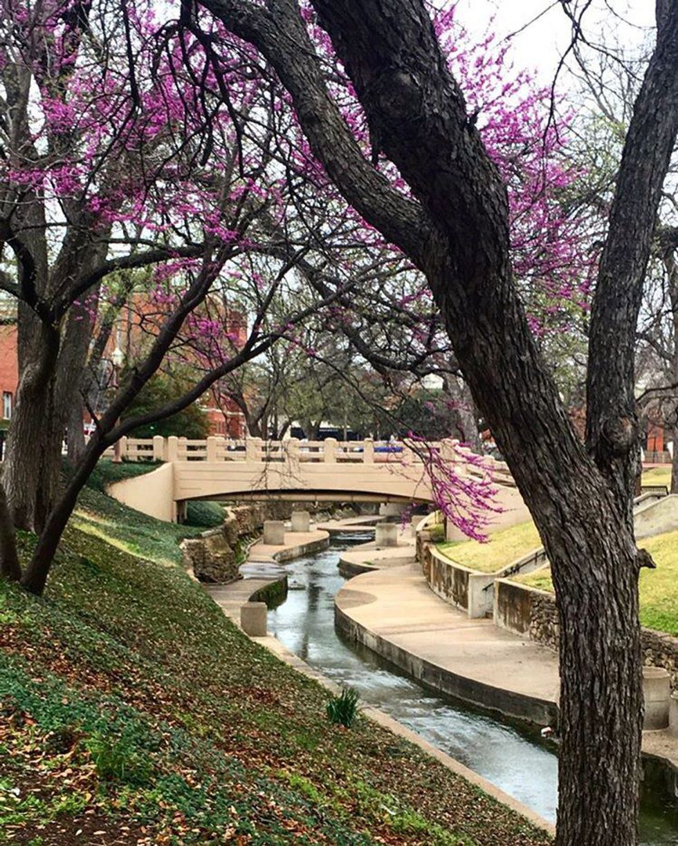 20 Beautiful Photos of the Baylor Campus
