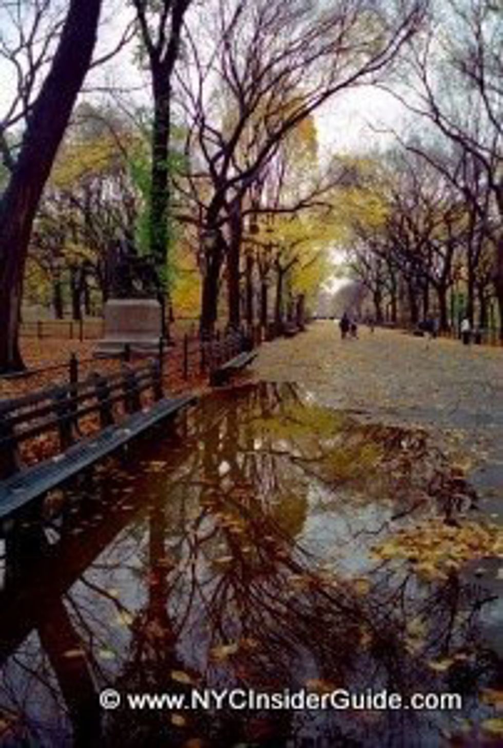 "8 Activities To Do in NY In November."