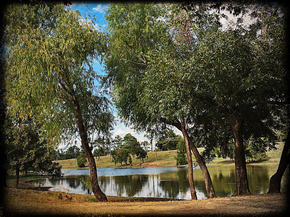 5 Must See Spots In Monroe, LA For All Nature Enthusiasts