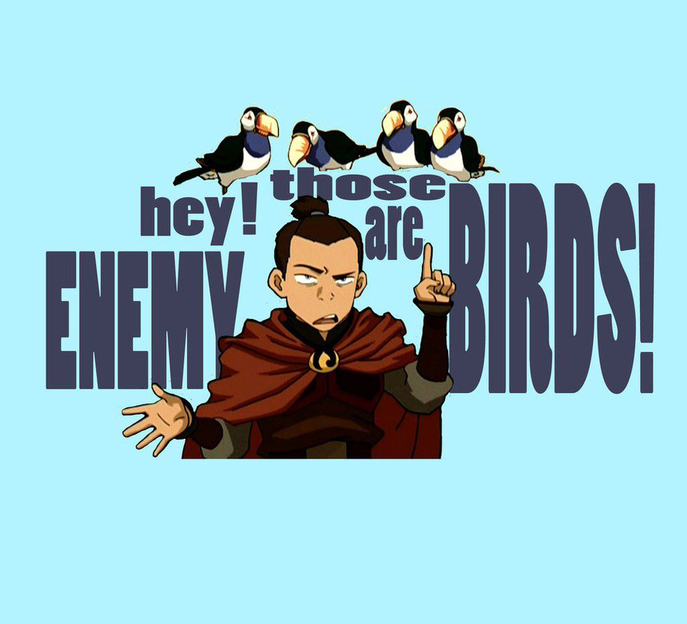Top 11 Best Sokka Memes