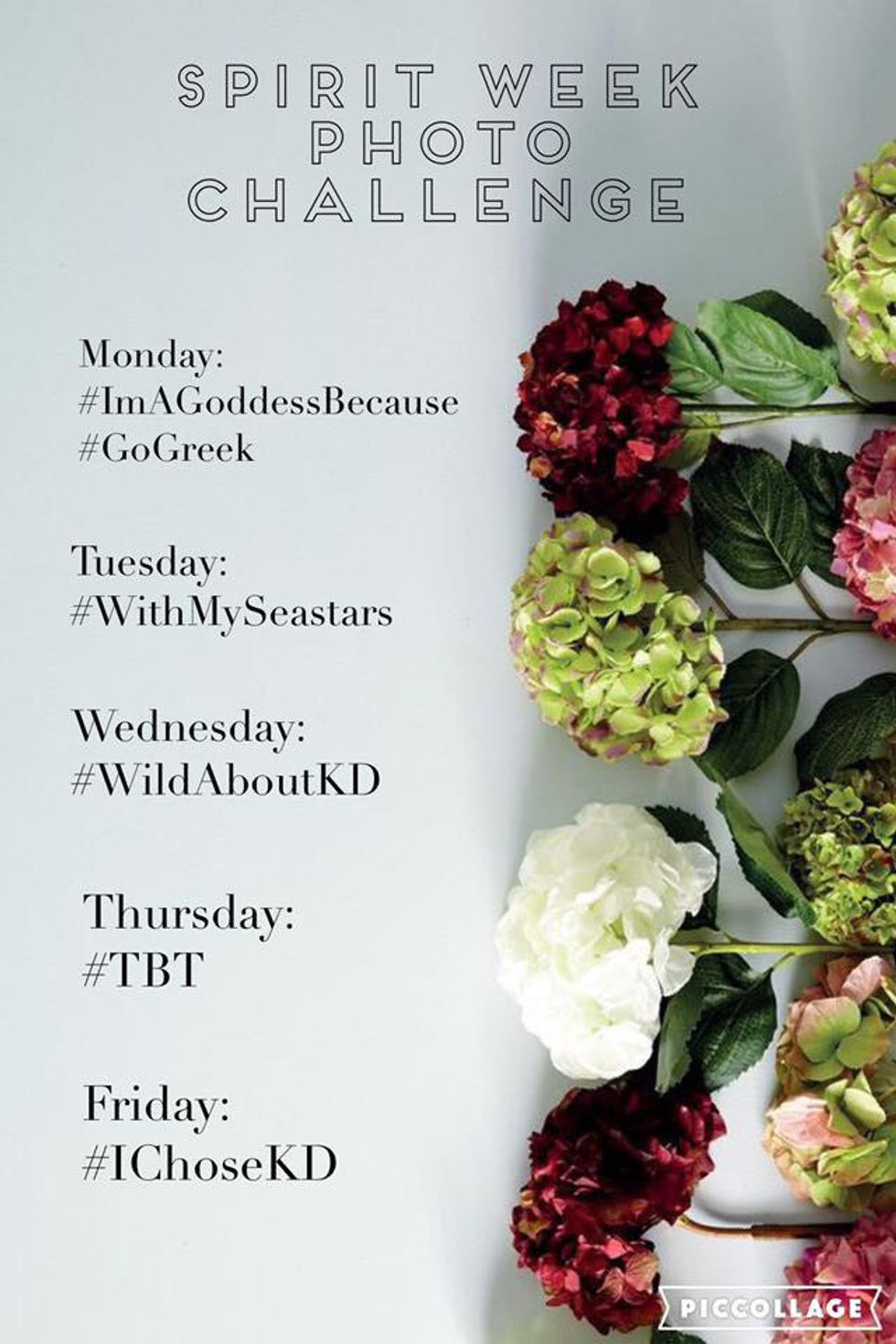 The Joys of Sorority Spirit Week