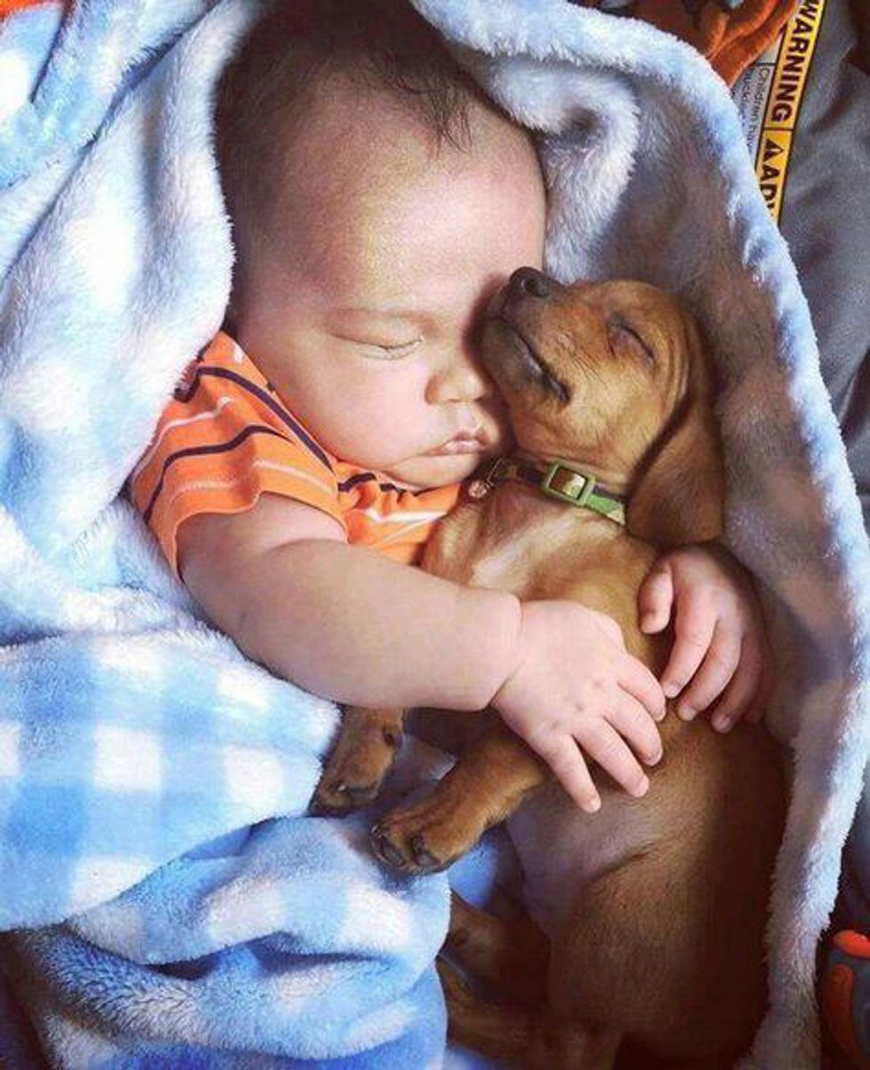 15 Pictures of Dogs That Will Make You Insanely Happy