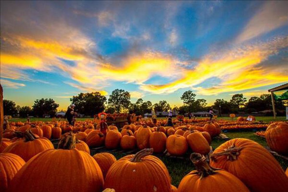 Reasons Why Fall Is The Best Time Of Year.