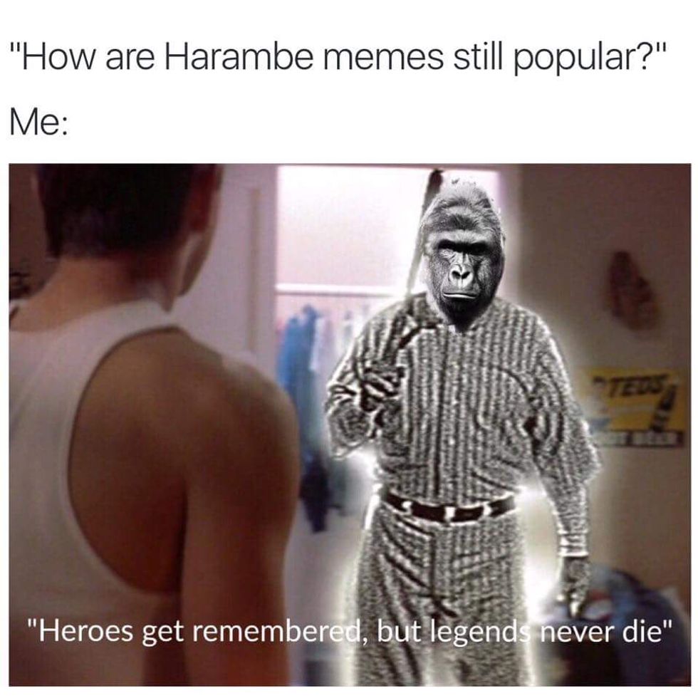 Why Harambe is a Christ Figure