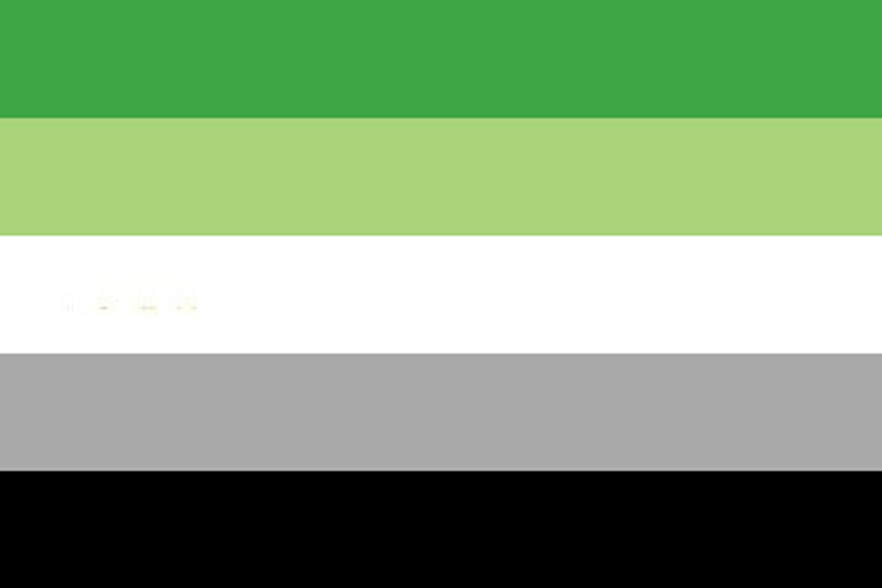 9 Queer Pride Flags That You Probably Didn't Know About