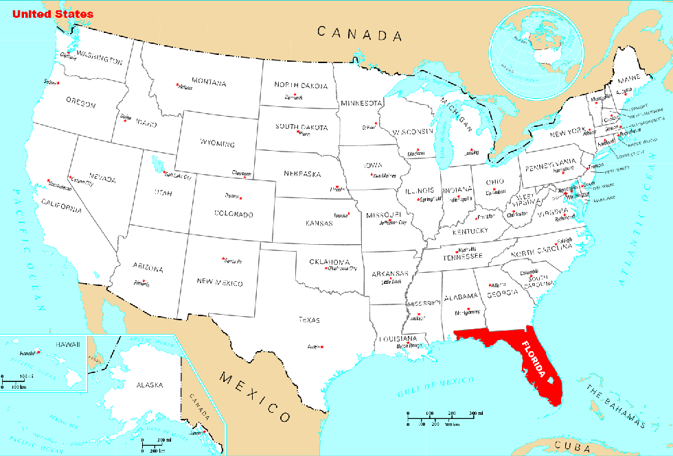 Reasons Why Florida is the Weirdest State