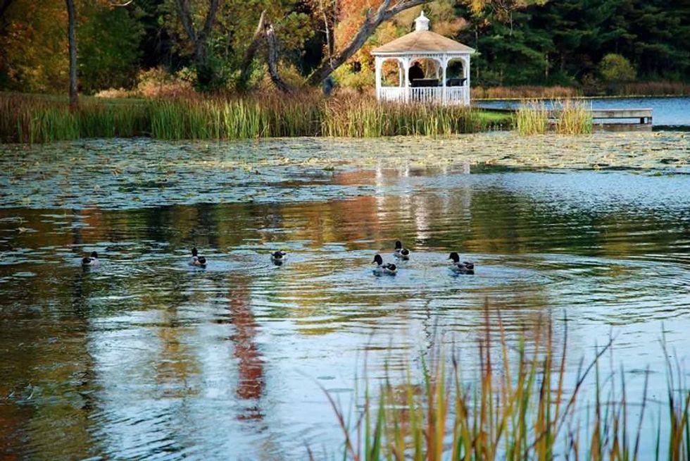 What It's Like To Grow Up With Piney Run Park