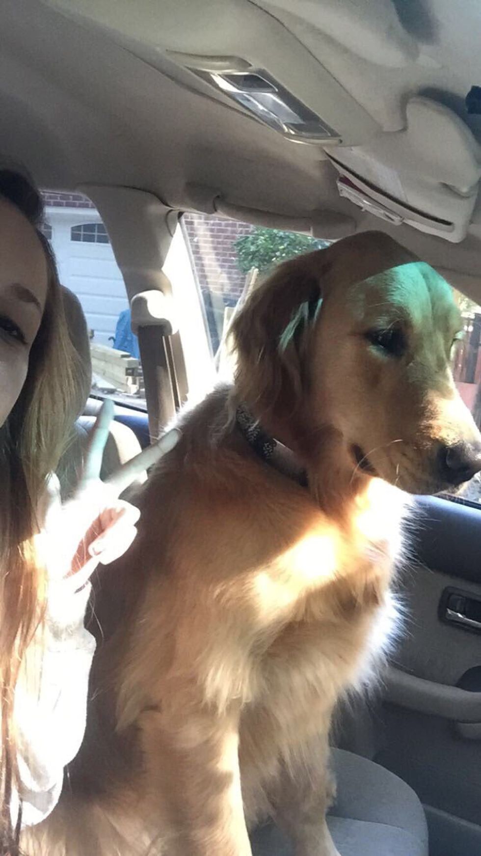 10 Reasons (And Pictures Of) Why I Am Obsessed With Goldens