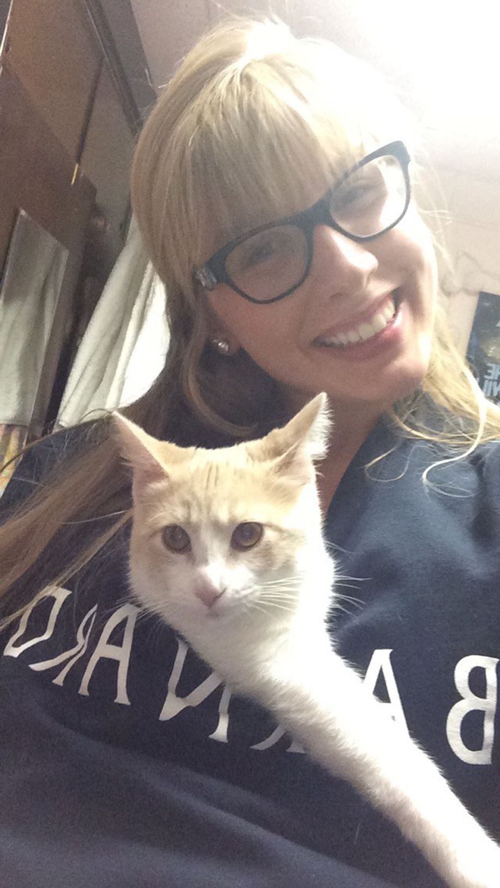 5 Signs You Are Cat Lady Chic