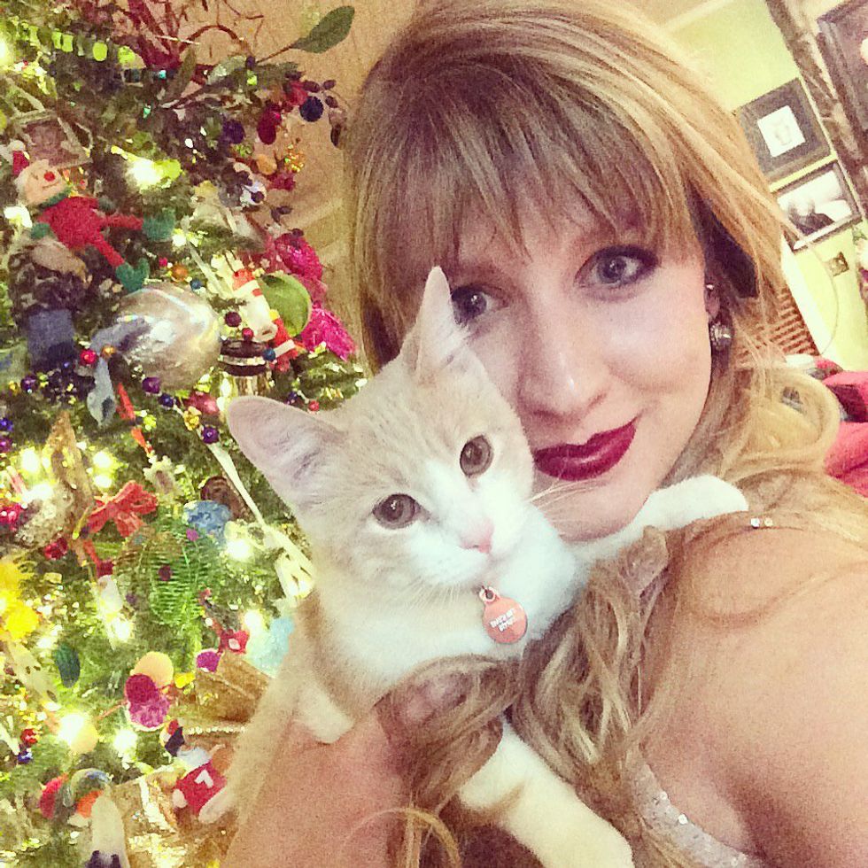 5 Signs You Are Cat Lady Chic