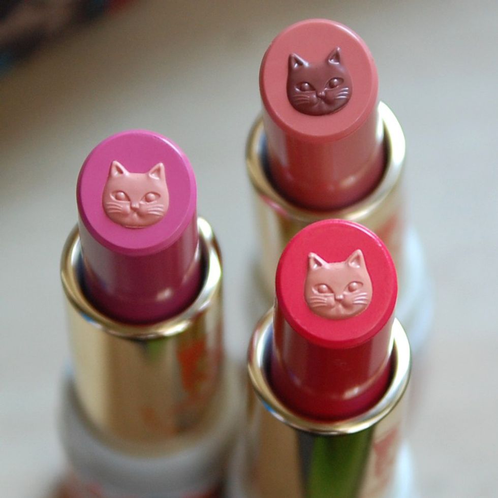 5 Signs You Are Cat Lady Chic