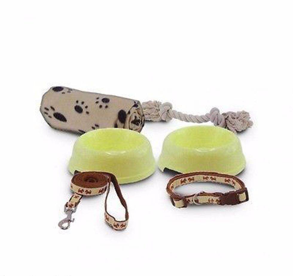 11 Must Have Items For Your Dog's Next Outdoor Adventure