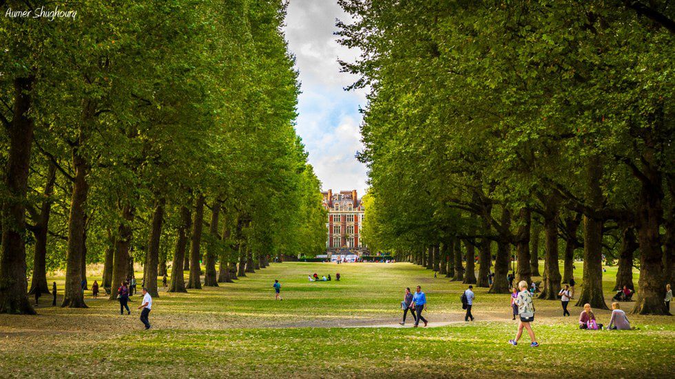 15 Things To Do At College Other Than Party