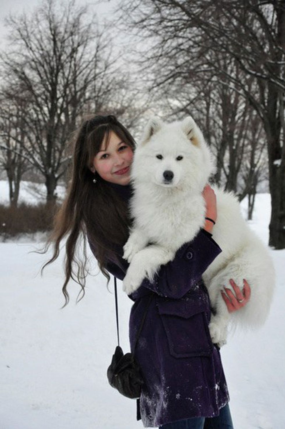 13 Reasons Samoyeds Are The Best Dogs Ever