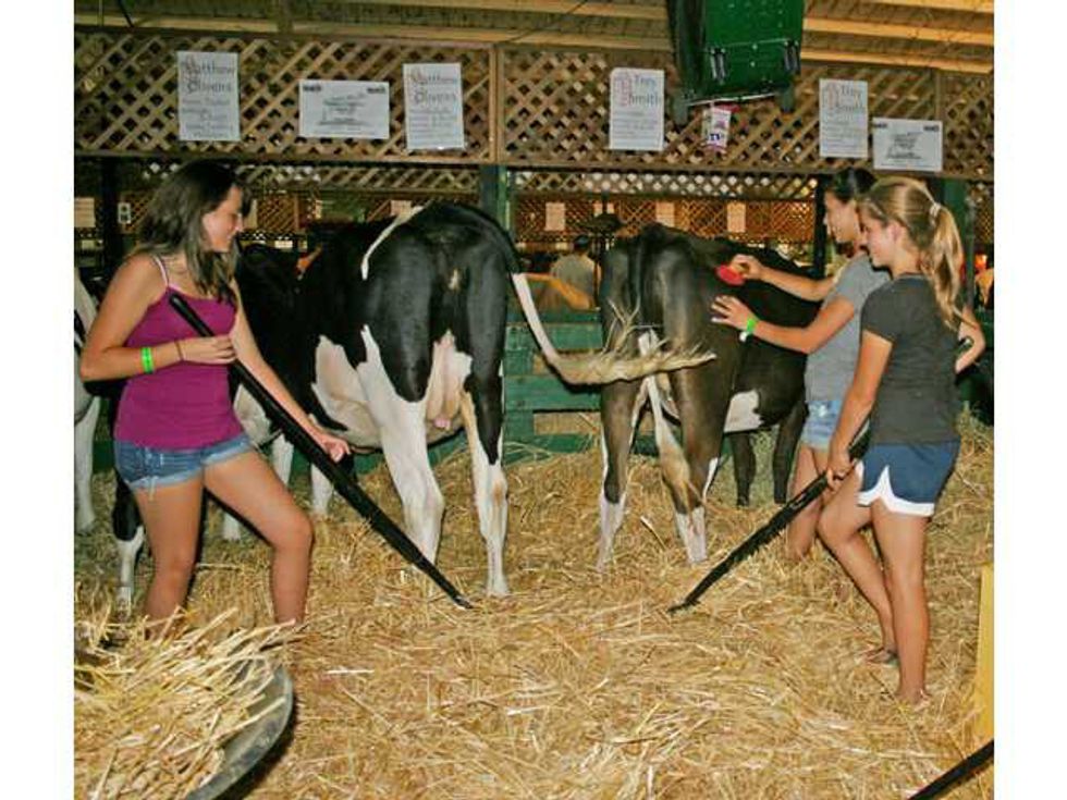 Why You Should Support Your County Fair